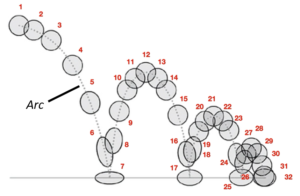 Principles of Animation: Arcs and Ease In/ Ease Out