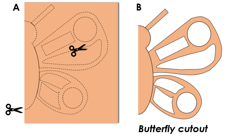Butterfly Art Using Positive and Negative Space, and Symmetry