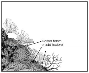 Coral Reef Drawing - Easy Step by Step Tutorial